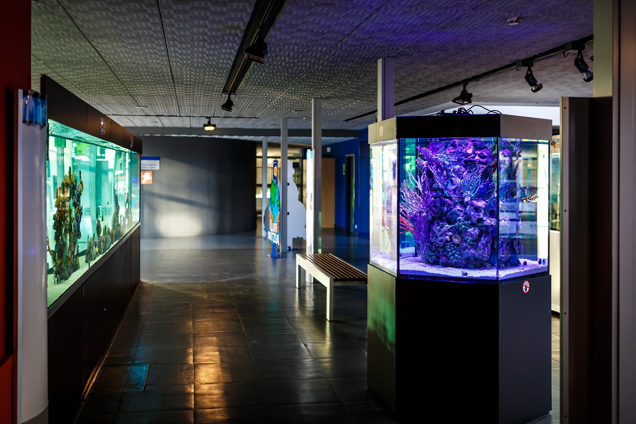 10 Best things to do with kids in San Sebastian (2026) - Discover Donosti